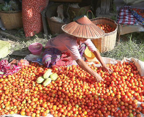 Daily Briefing | News, Sports, Jobs - Altoona Mirror